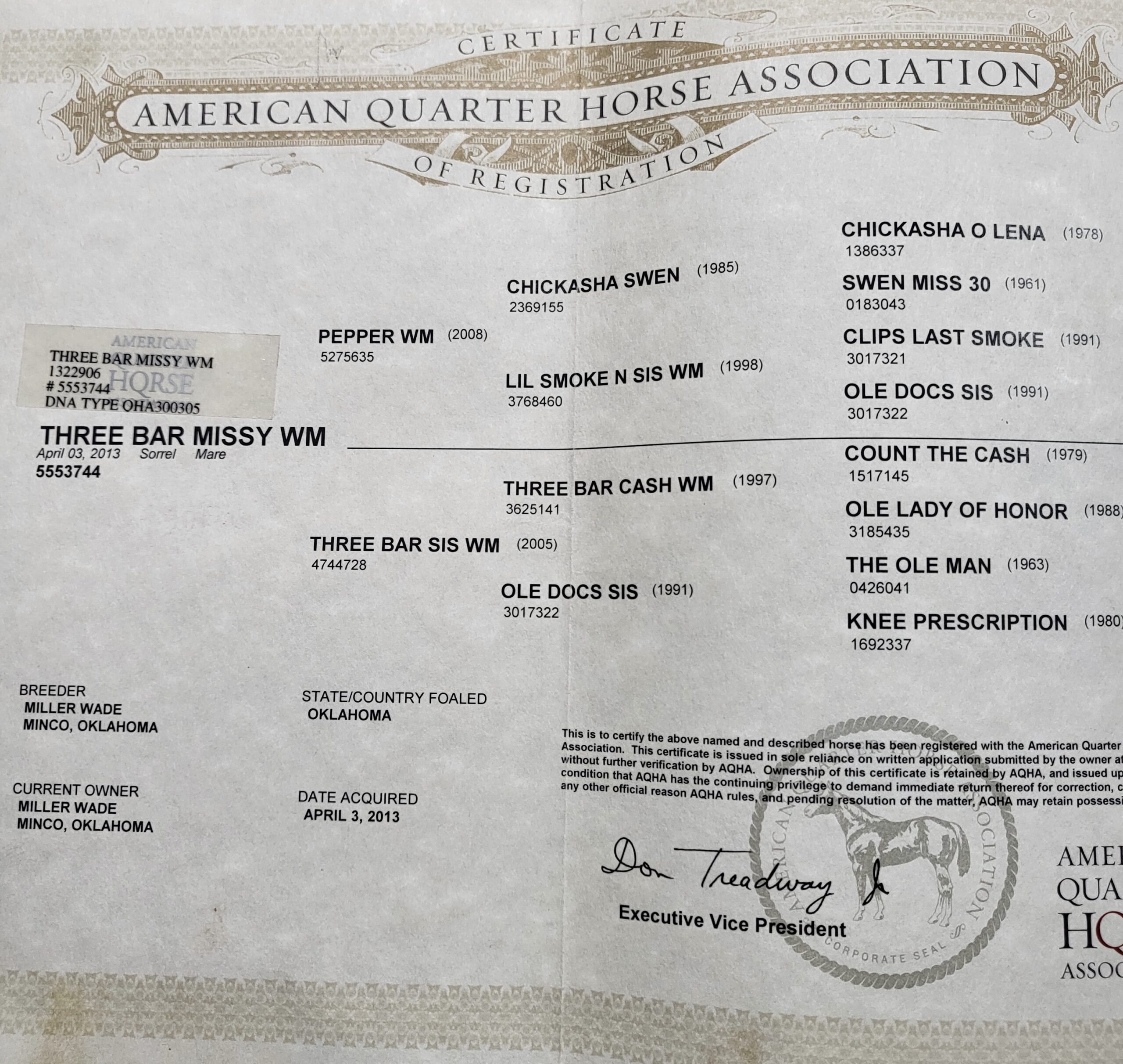 Brood Mares – Quarter Horses