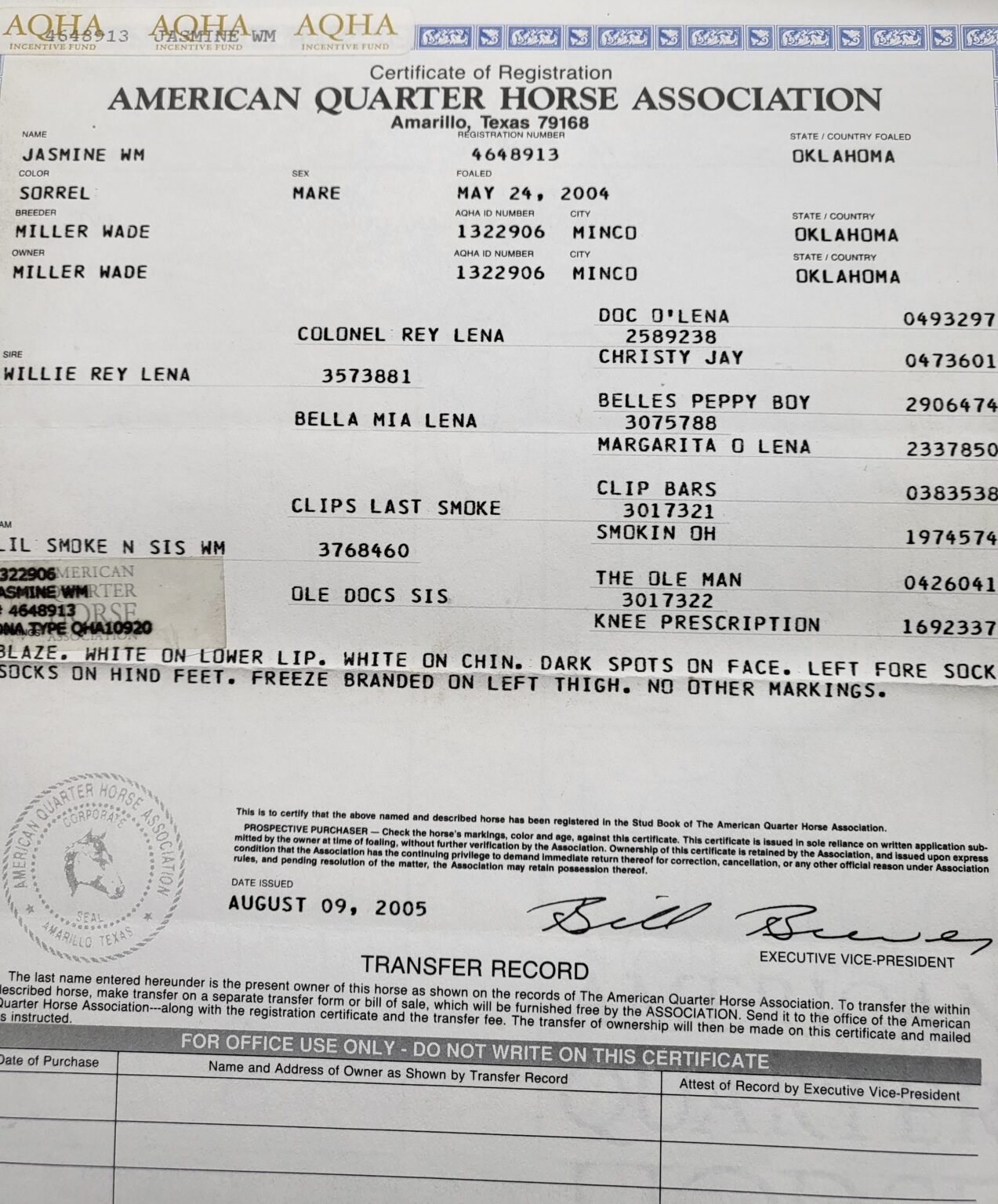 Brood Mares – Quarter Horses